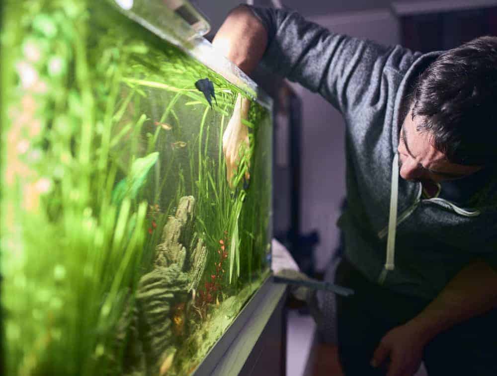 Fish Tank Cleaning Service Barnum Island, NY | Fluid Dynamics