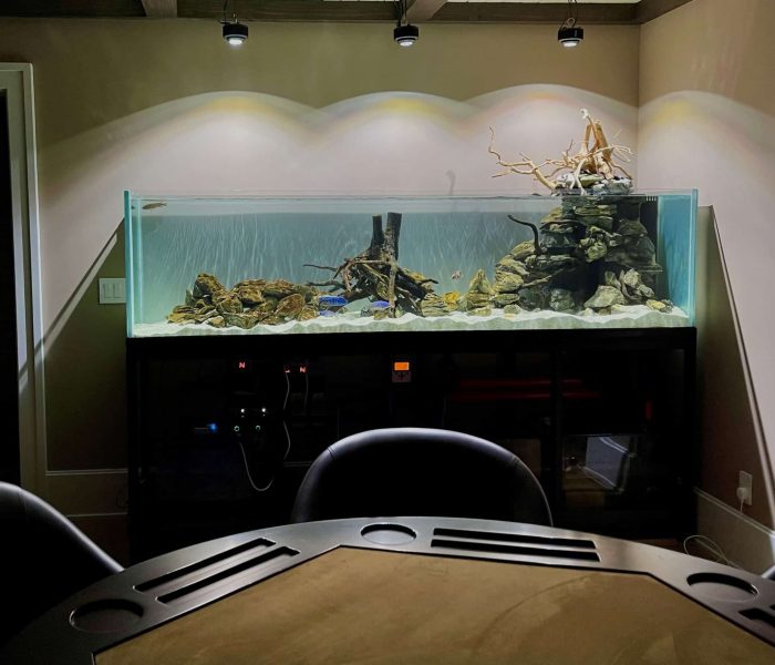 Fish Tank Cleaning Service Roslyn Heights, NY | Fluid Dynamics ...
